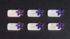 Custom Metal Badges & Pins | Years of Service | Awards | Plus More!