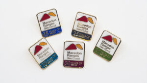 Custom Metal Badges & Pins | Years of Service | Awards | Plus More!